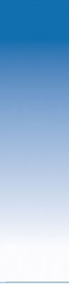 Get a Varitone Background - 31X43,#03 at Acephoto.net