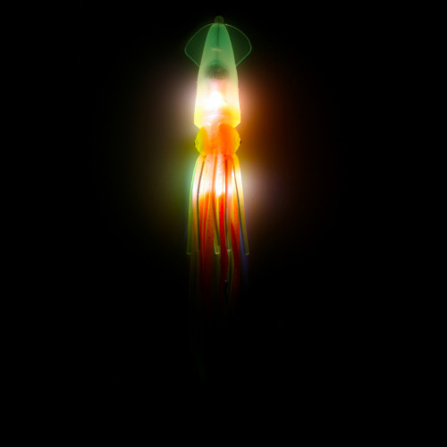 Everything Eats Squid - Orange & Yellow - SquidSkirts
