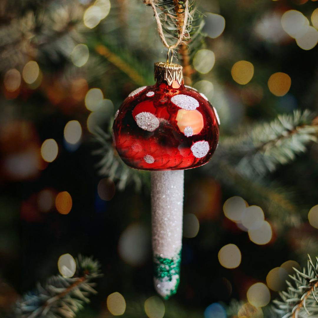Polish Christmas | The Polish Store