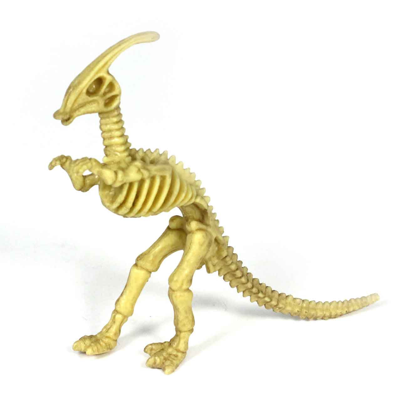 Dinosaur Skeleton Bones Set - 18 Pieces | Talking Turtle