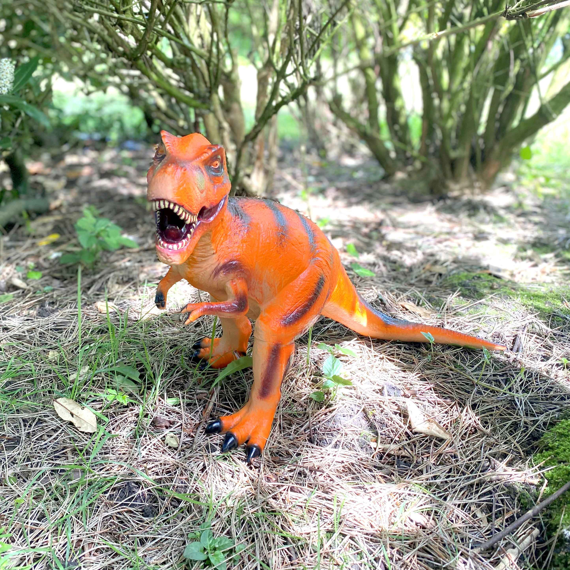 Jumbo Animal Toys & Figures | Talking Turtle