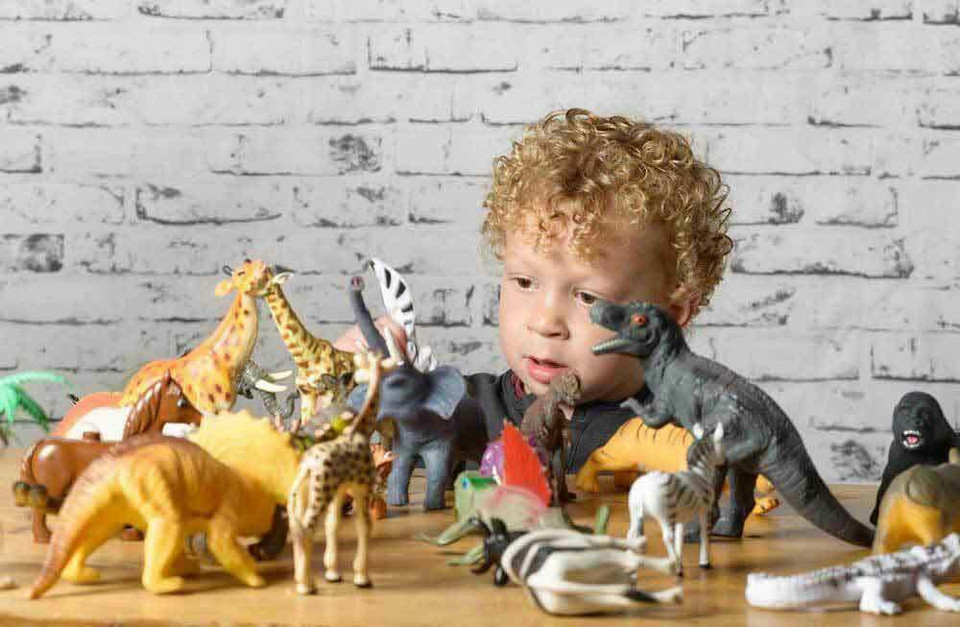 Small World Toys - Animals, Dinosaurs & More | Talking Turtle