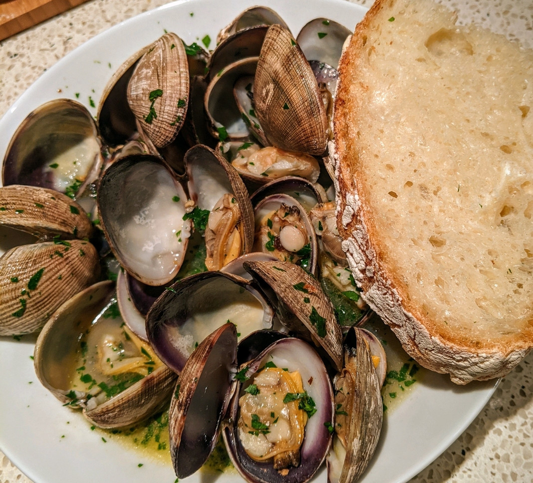 willapa-oysters.com