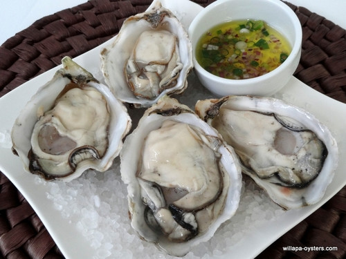 Shucked Quart Medium - Fresh