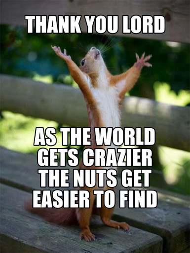 Thank You Lord, As the World Gets Crazier, the Nuts Get Easier to Find ...