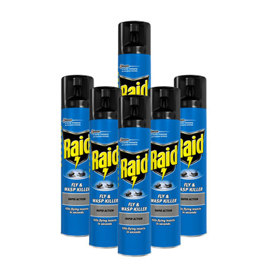 Raid Fly and Wasp Killer 300ml Pack Size 6