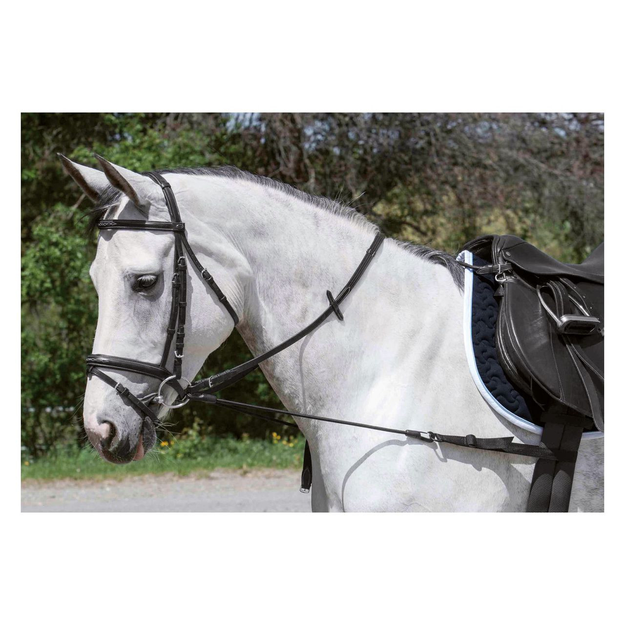 Vienna Reins - The City Barn Store