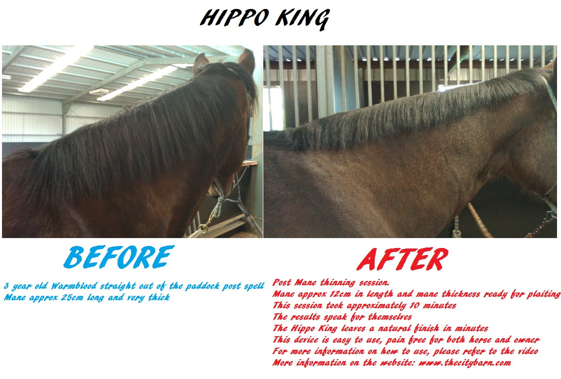Hippo King - The City Barn Store