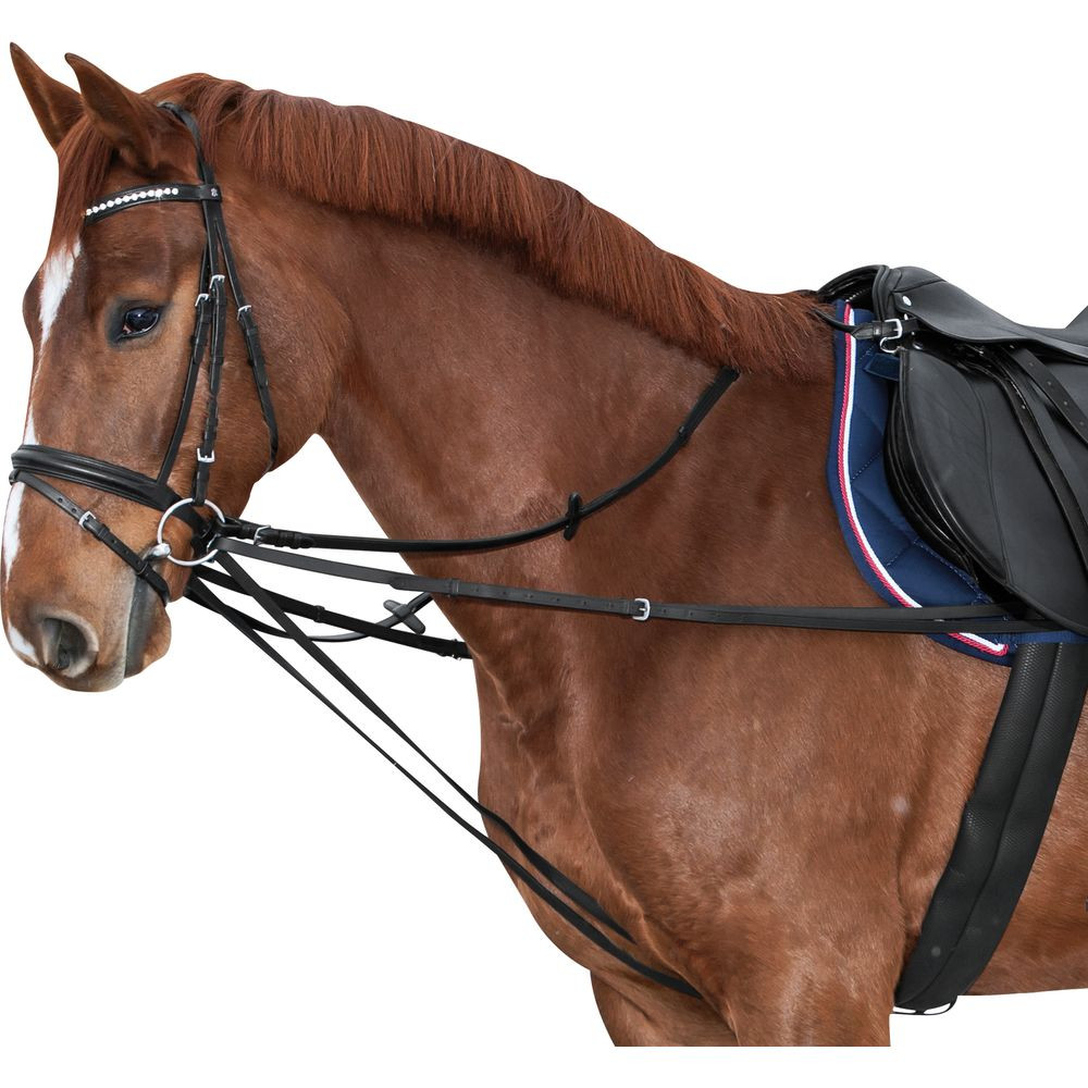 Vienna Reins - The City Barn Store