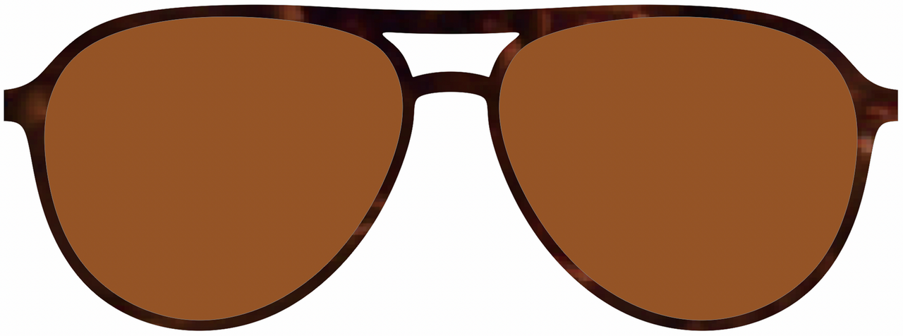 Tortoise Aviator Sunglasses