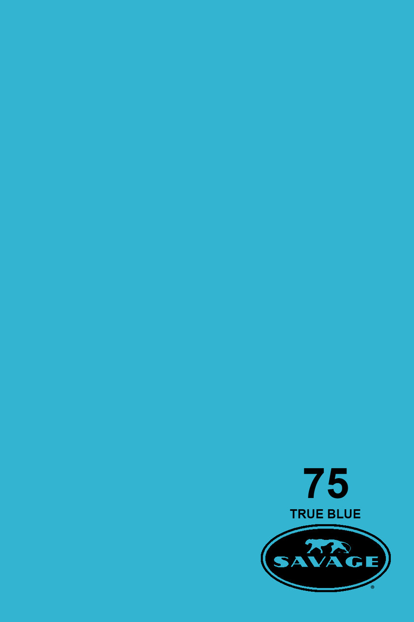 Savage Widetone Background Paper 107 Inch x 12 Yard Roll - #75 True Blue