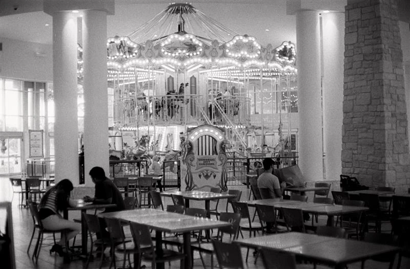 Intro to Film Photography