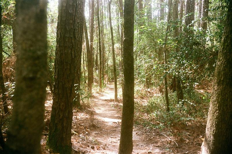 Intro to Film Photography