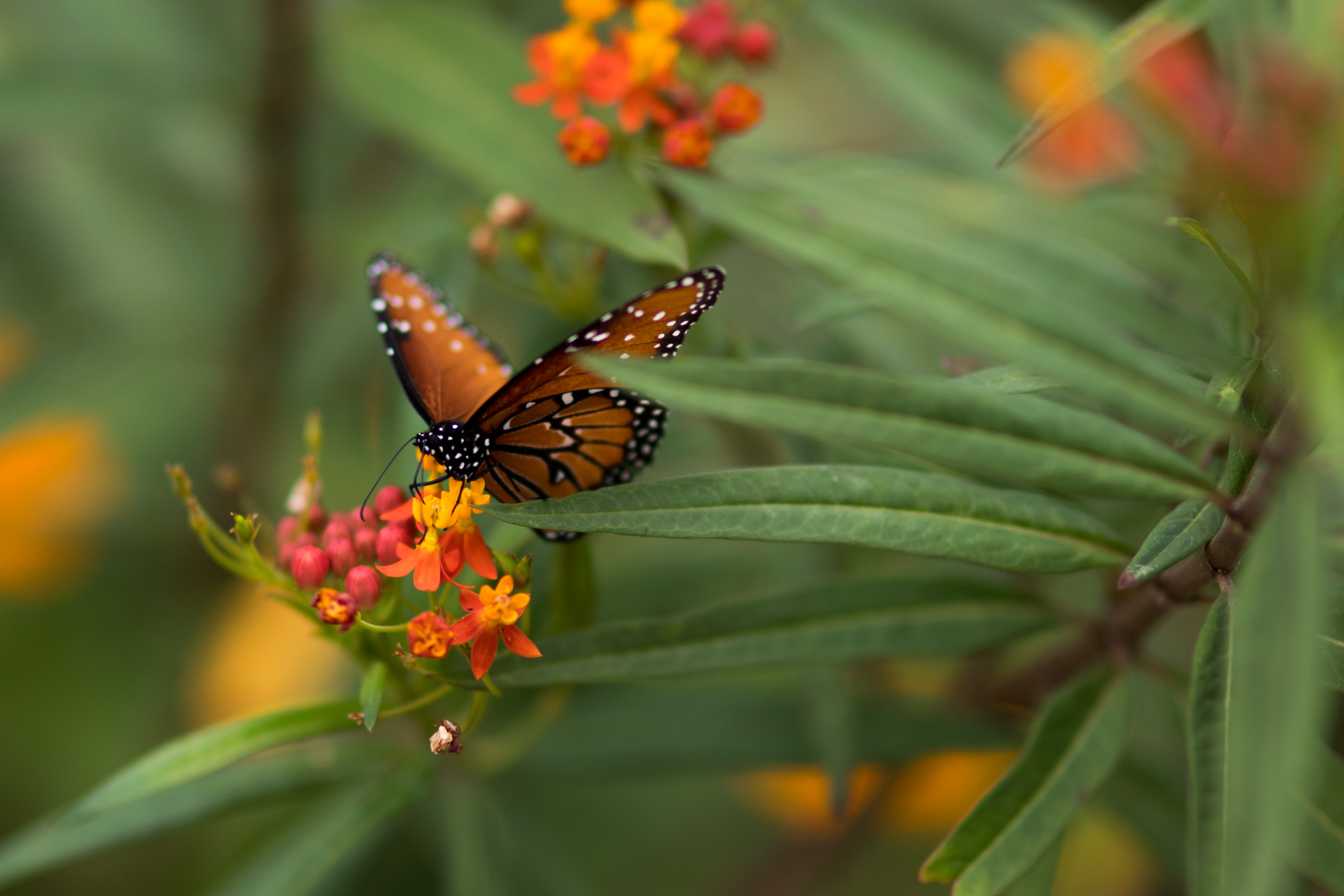 Check out These Winning Images from our Nature Photo Contest ...