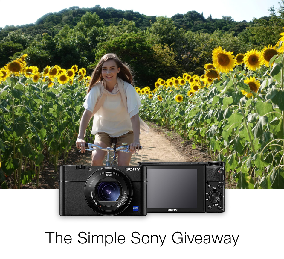 The Simple Sony Giveaway - Precision Camera and Video