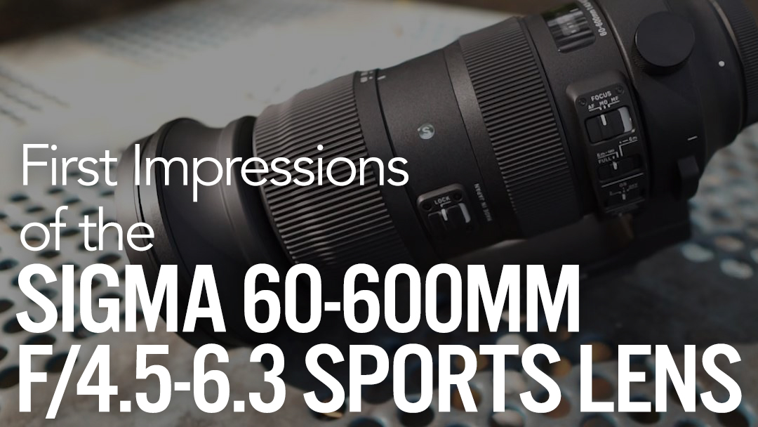 First Impressions: Sigma 60-600mm f/4.5-6.3 DG OS HSM Sports Lens ...
