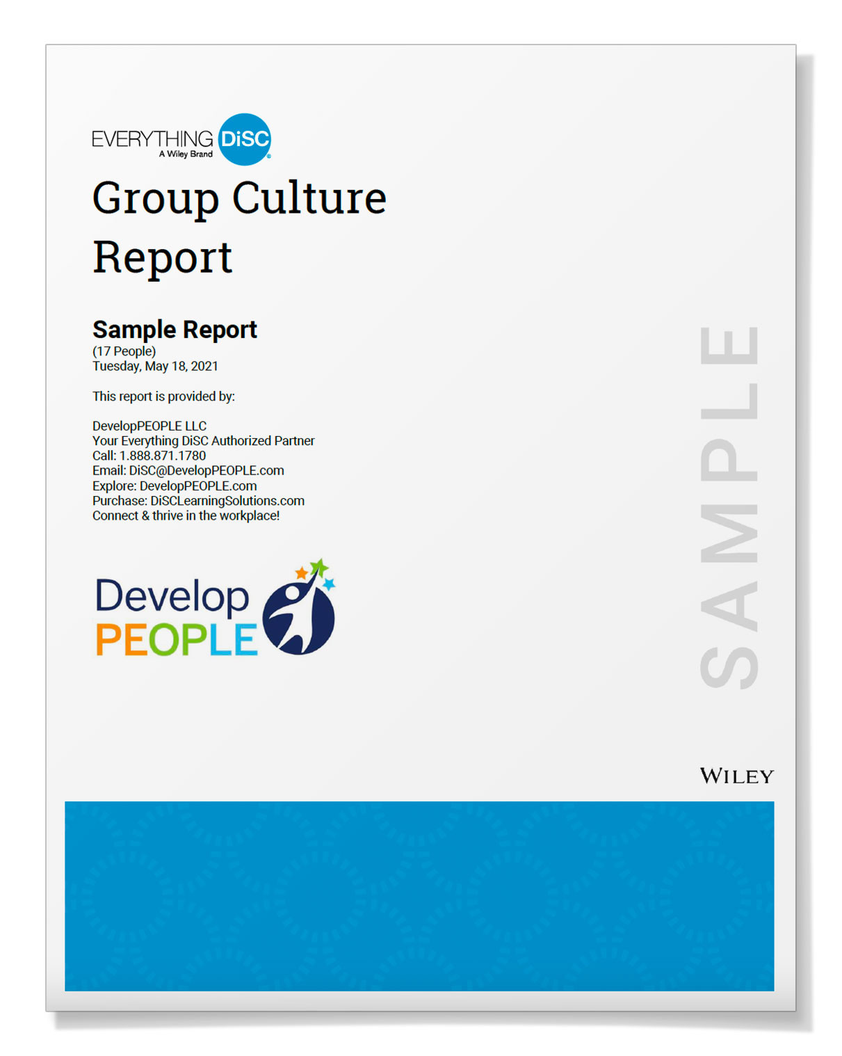 Everything DiSC® Group Culture Report with FREE!