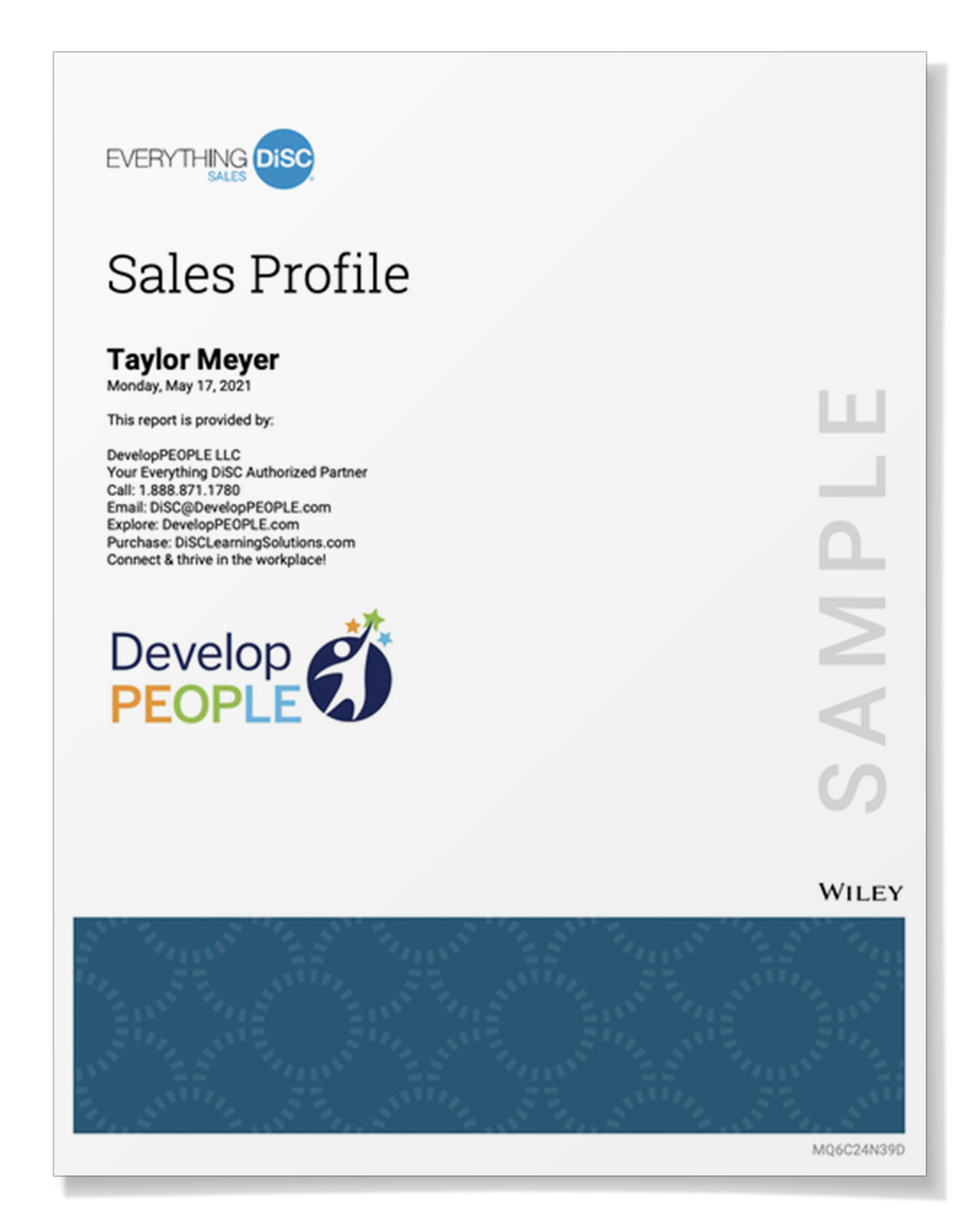 DiSC Tests for Sales | The Everything DiSC Sales Individual Profile