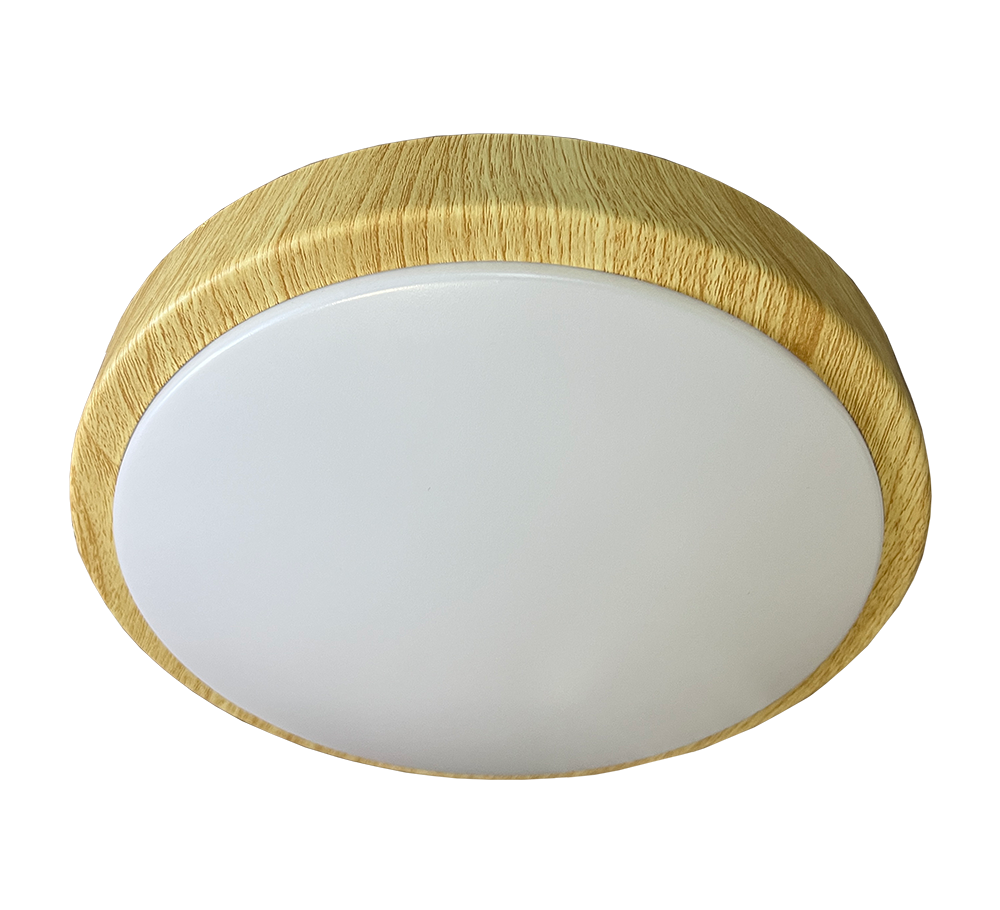 Round Ceiling Lamp