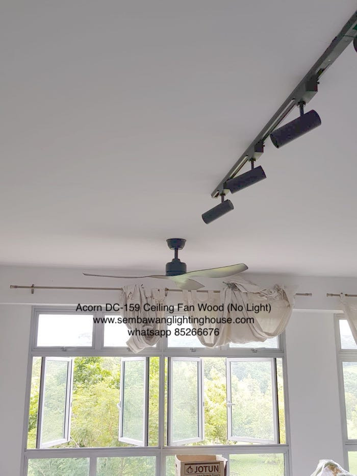 Buy Acorn DC159 Ceiling Fan from $249 | Sembawang Lighting House