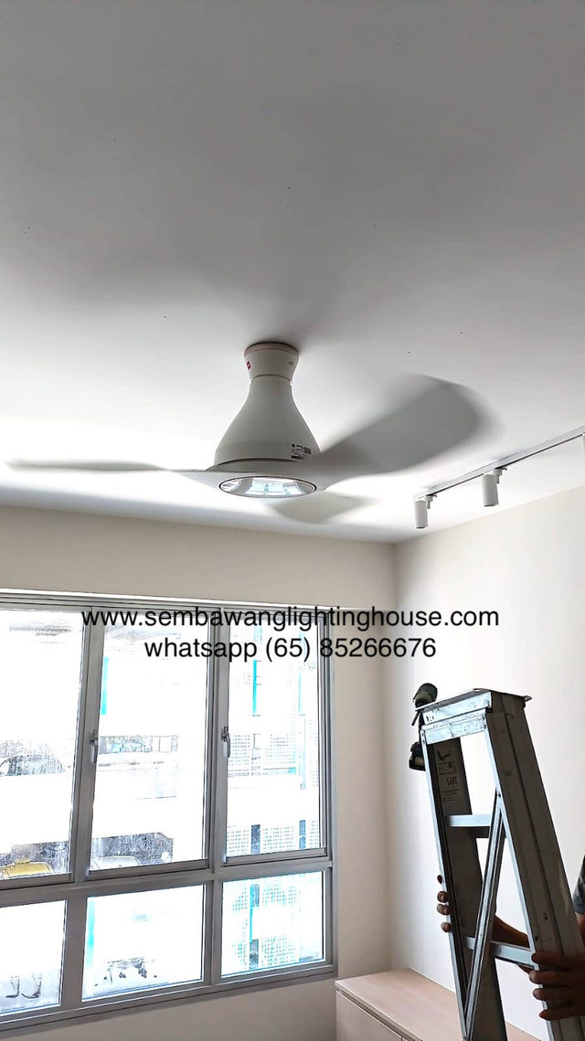 Buy KDK E48GP 48" DC Ceiling Fan with LED (White or Brown)