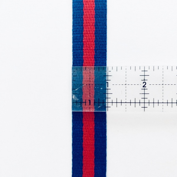 Red Blue Webbing (2.5 cm or 1")