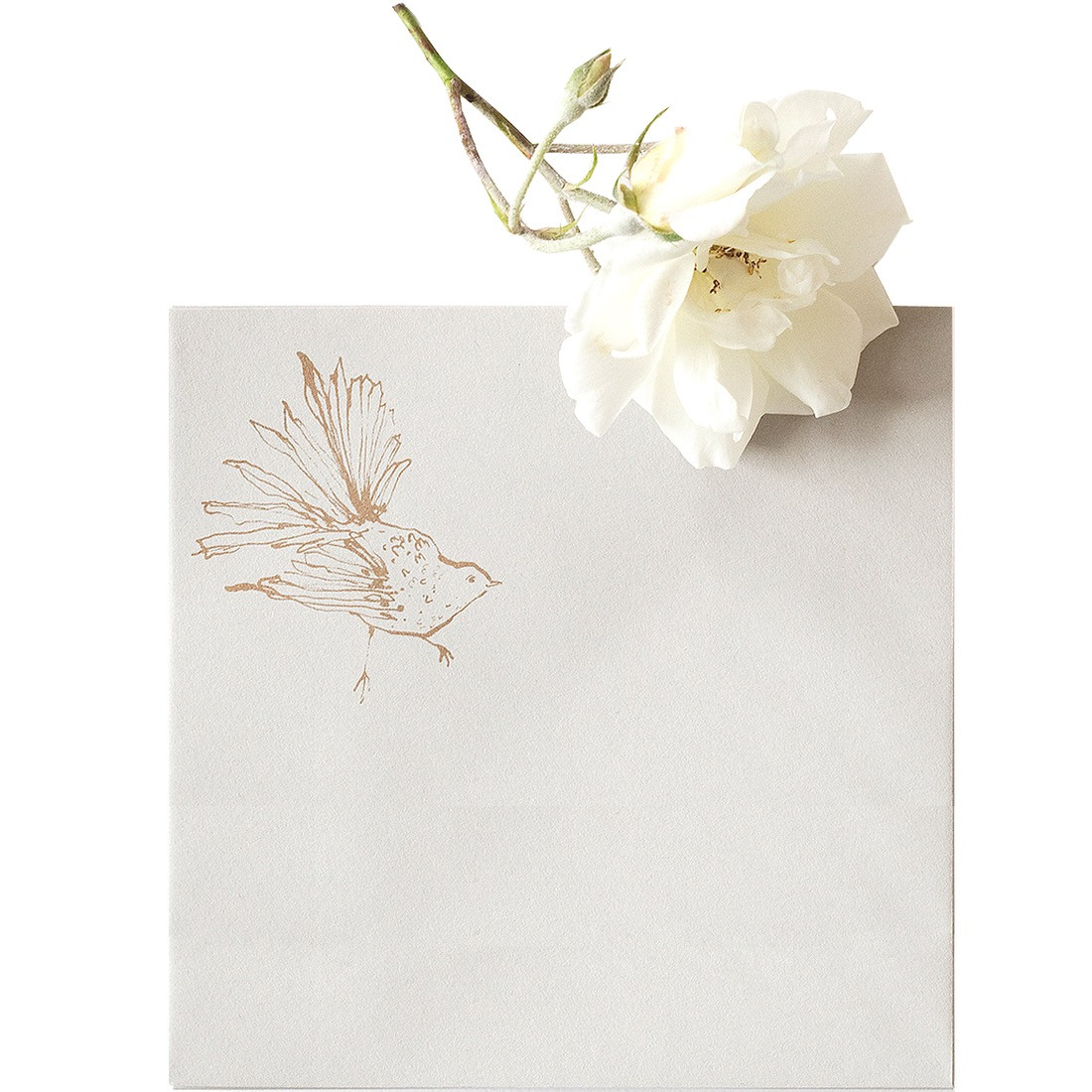 Anna Wright: Three French Hens Card