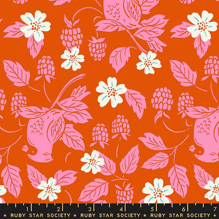 Ruby Star Society: Backyard by Sarah Watts - Cardinal in Fire