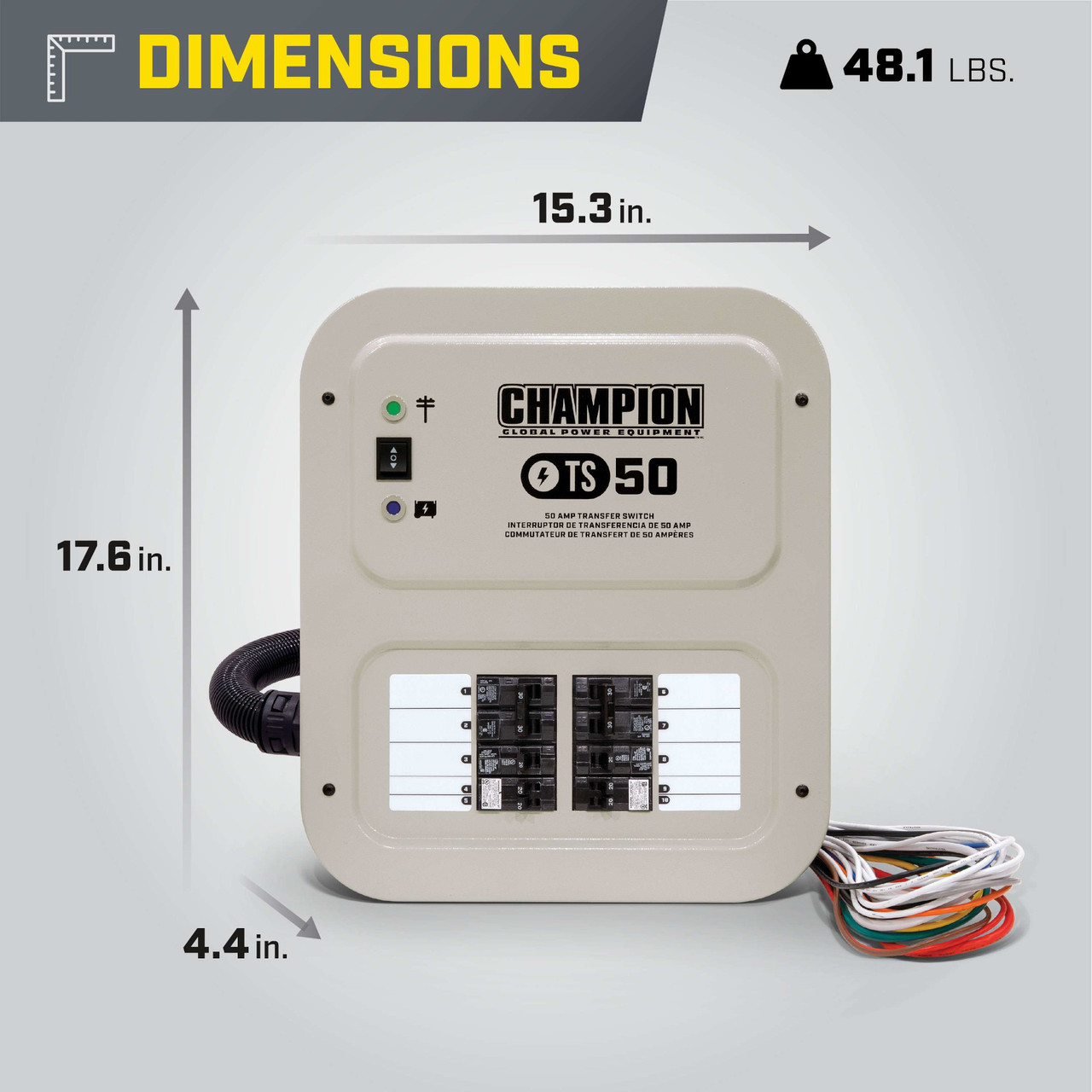 50-Amp Champion Manual Transfer Switch for Generator | Norwall