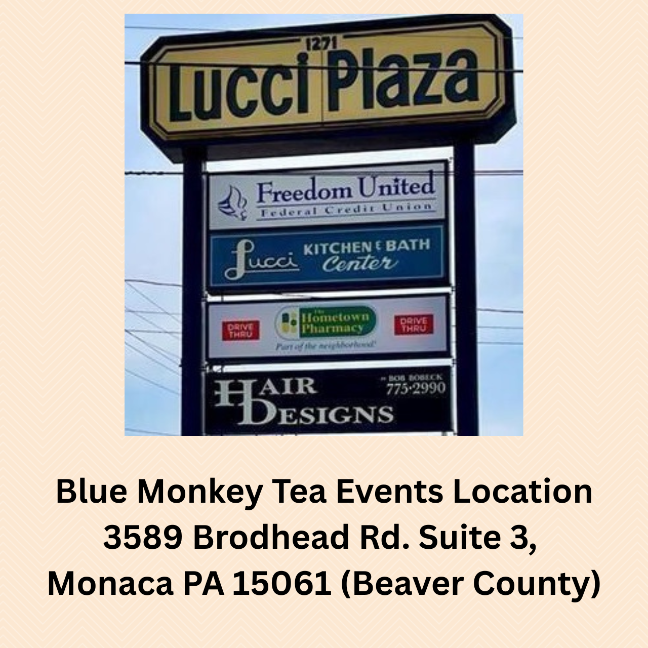 BOOKS and CLASSES - Monaca Location Events - Blue Monkey Tea Store