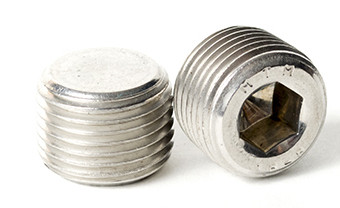 Stainless Socket Pipe Plugs | The Nutty Company, Inc.
