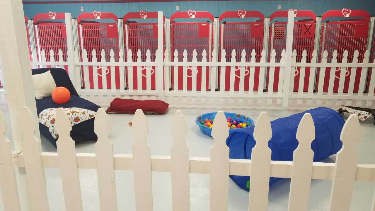 Kennel Ideas: Red Dog Kennels | Waggin Tails B&B - Gator Kennels