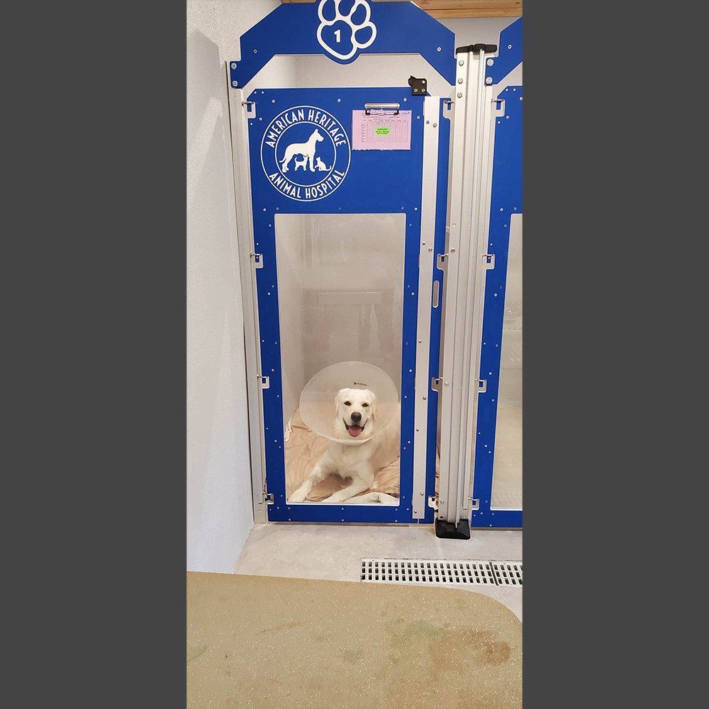 Check out some similar completed kennel projects for your dog daycare ...