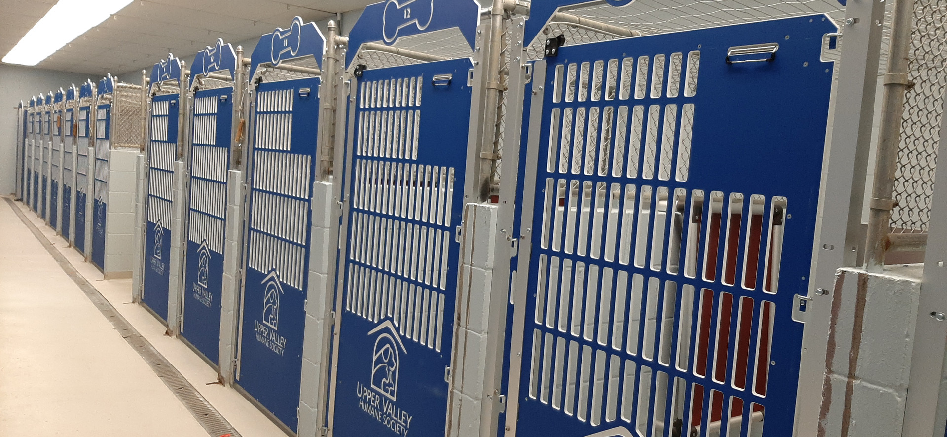 Gator Kennels - Custom Dog Kennels | Kennel Gates | Kennel hardware ...
