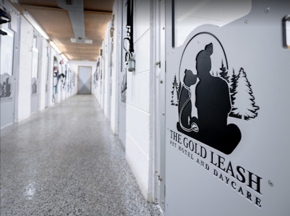 The Gold Leash Pet Hotel