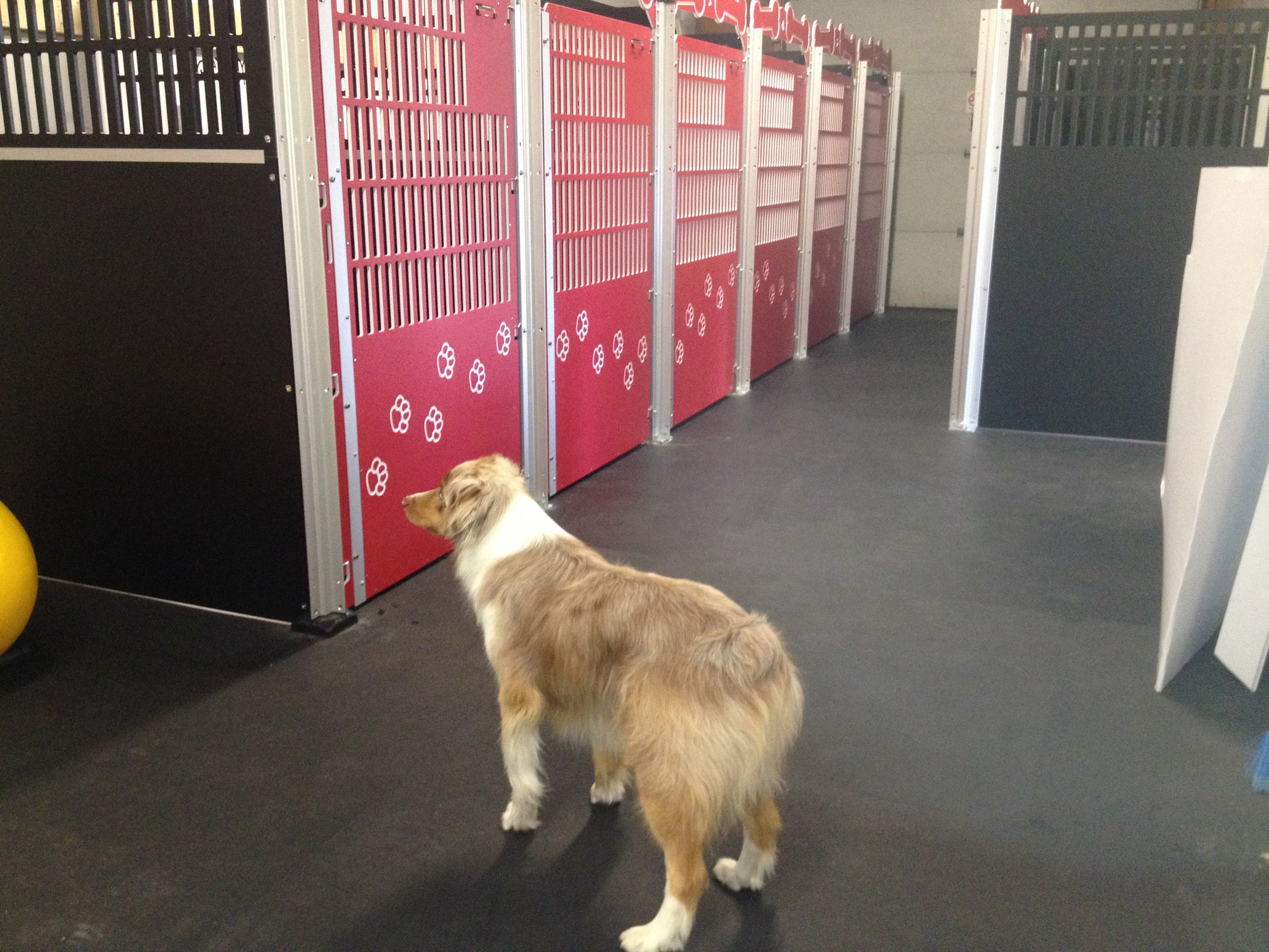 The Hound Lounge, Alberta - Gator Kennels