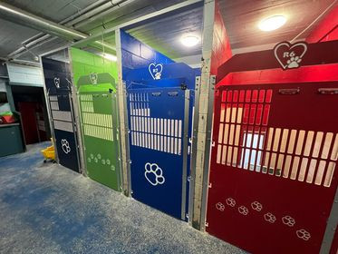 Camelot Kennels, Massachusetts - Gator Kennels