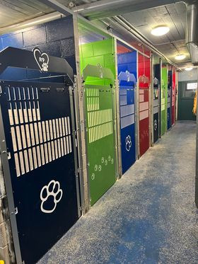 Camelot Kennels, Massachusetts - Gator Kennels