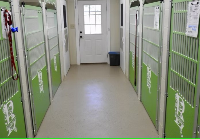 Kennel Ideas: Lime Green Dog Kennels | Bakers Farm Kennels