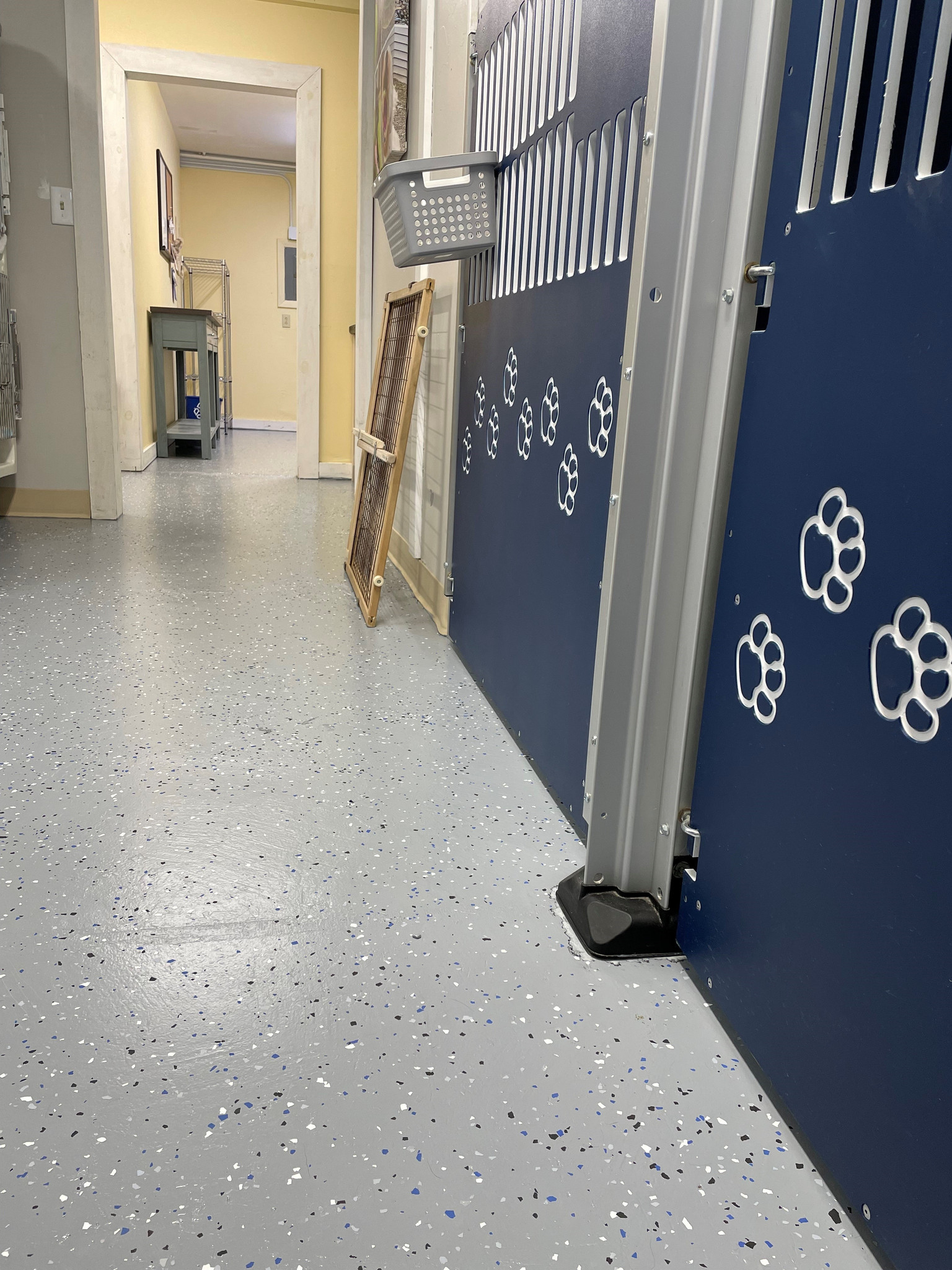 Kennel Ideas: Royal Blue Dog Kennels | Carden Kennels - Gator Kennels