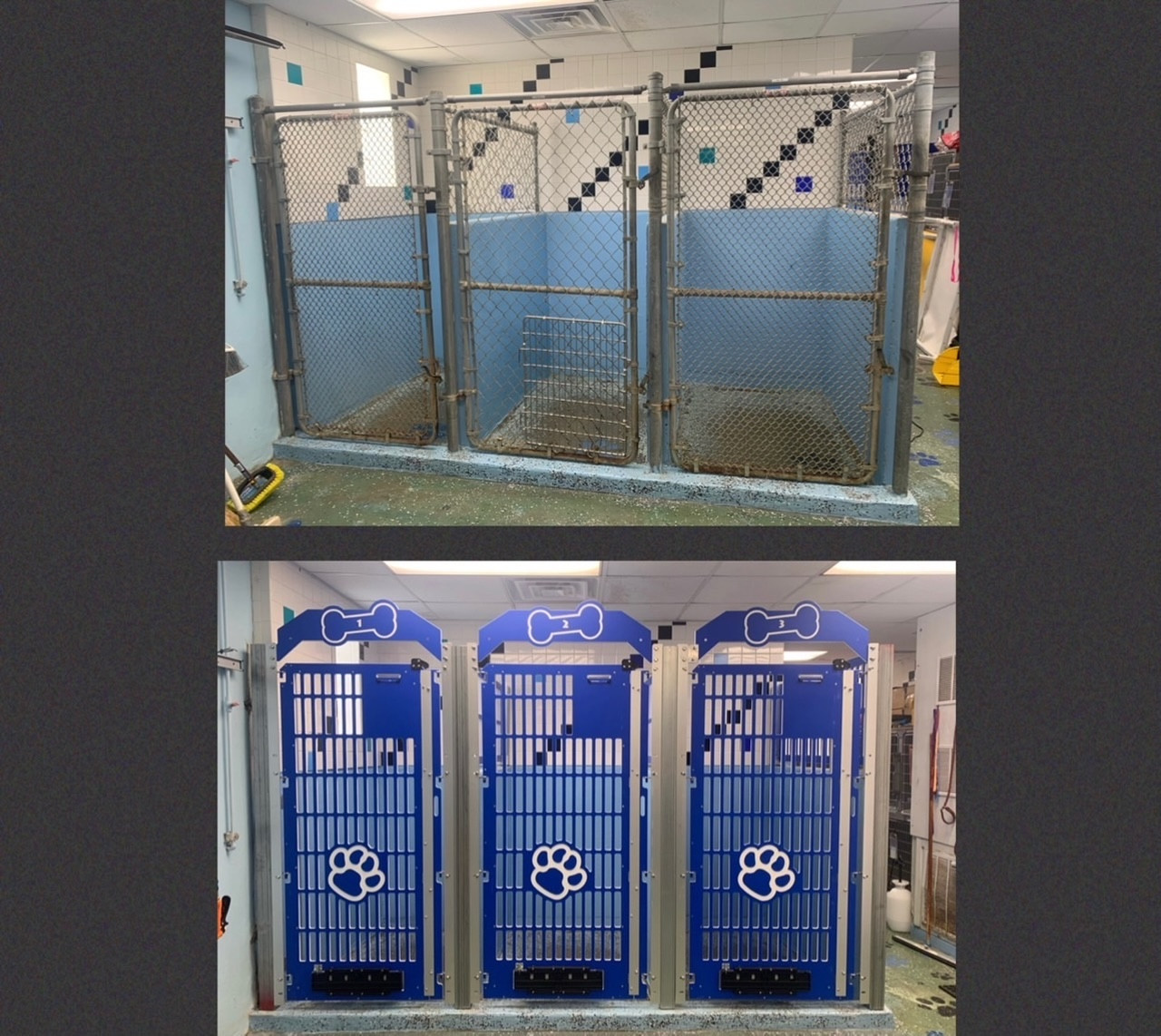 The Animal Clinic, Texas - Gator Kennels