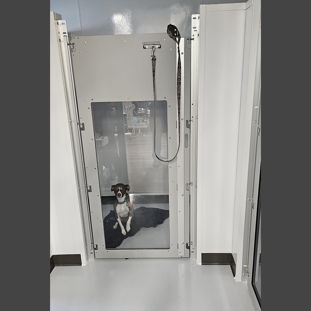 Kennel Ideas: