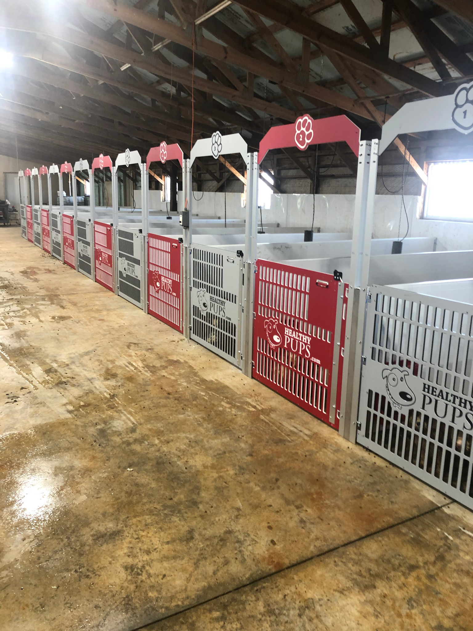 Kennel Ideas: Multi Color Dog Kennels | Healthy Pups - Gator Kennels