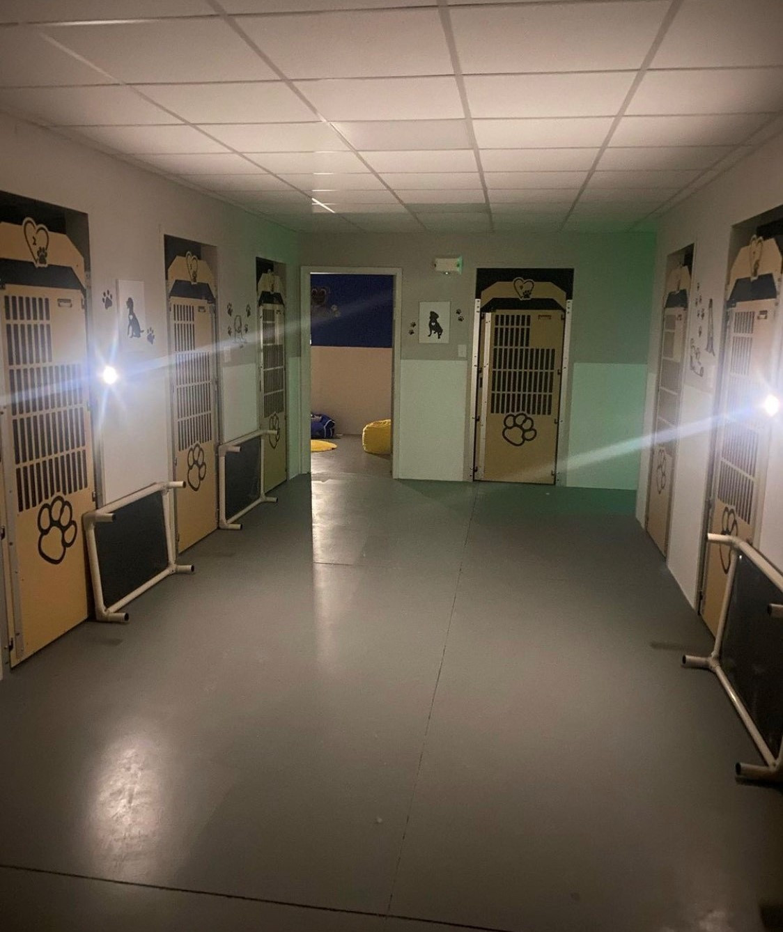 Increase the look of your kennel facility by adding colorful kennels!