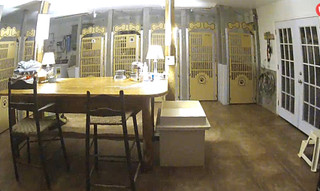 Check out some similar completed kennel projects for your dog daycare ...