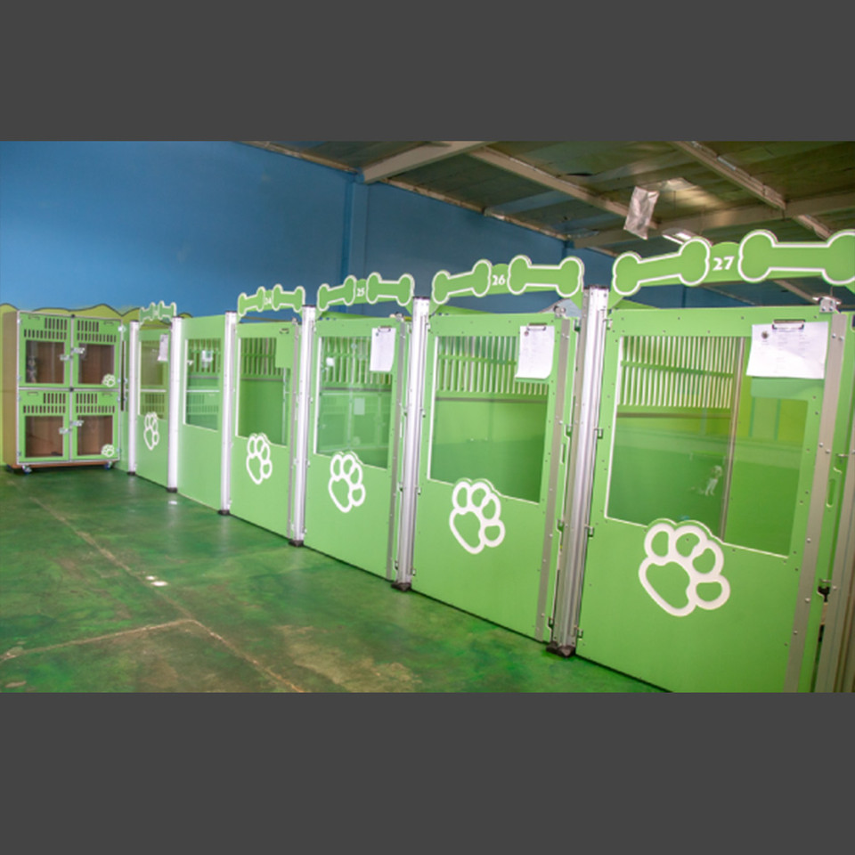 Kennel Ideas: Lime Green Dog Kennels | Barking Lodge Pet Resorts ...