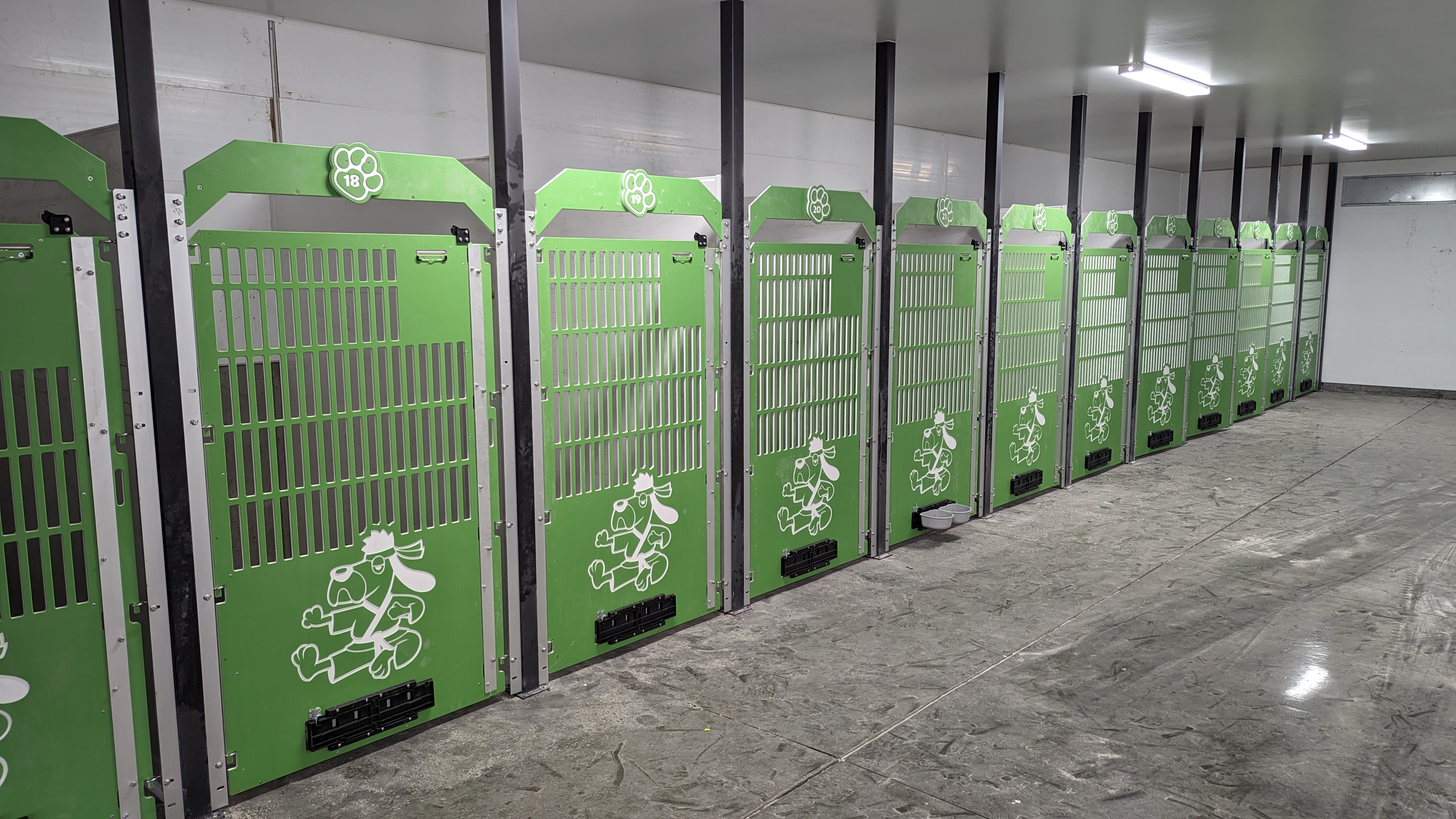 Kennel Ideas: Bright Lime Green Dog Kennels | Doggy Dojo - Gator Kennels
