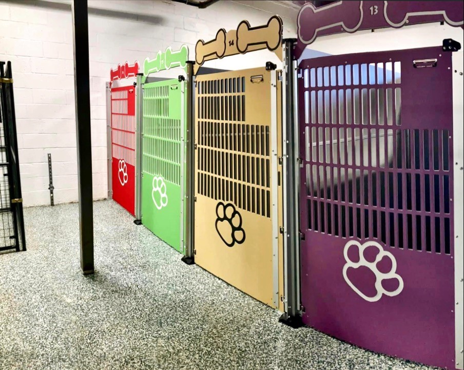 Kennel Ideas: Multi Color Dog Kennels \ House of Dog Retreat & Spa ...