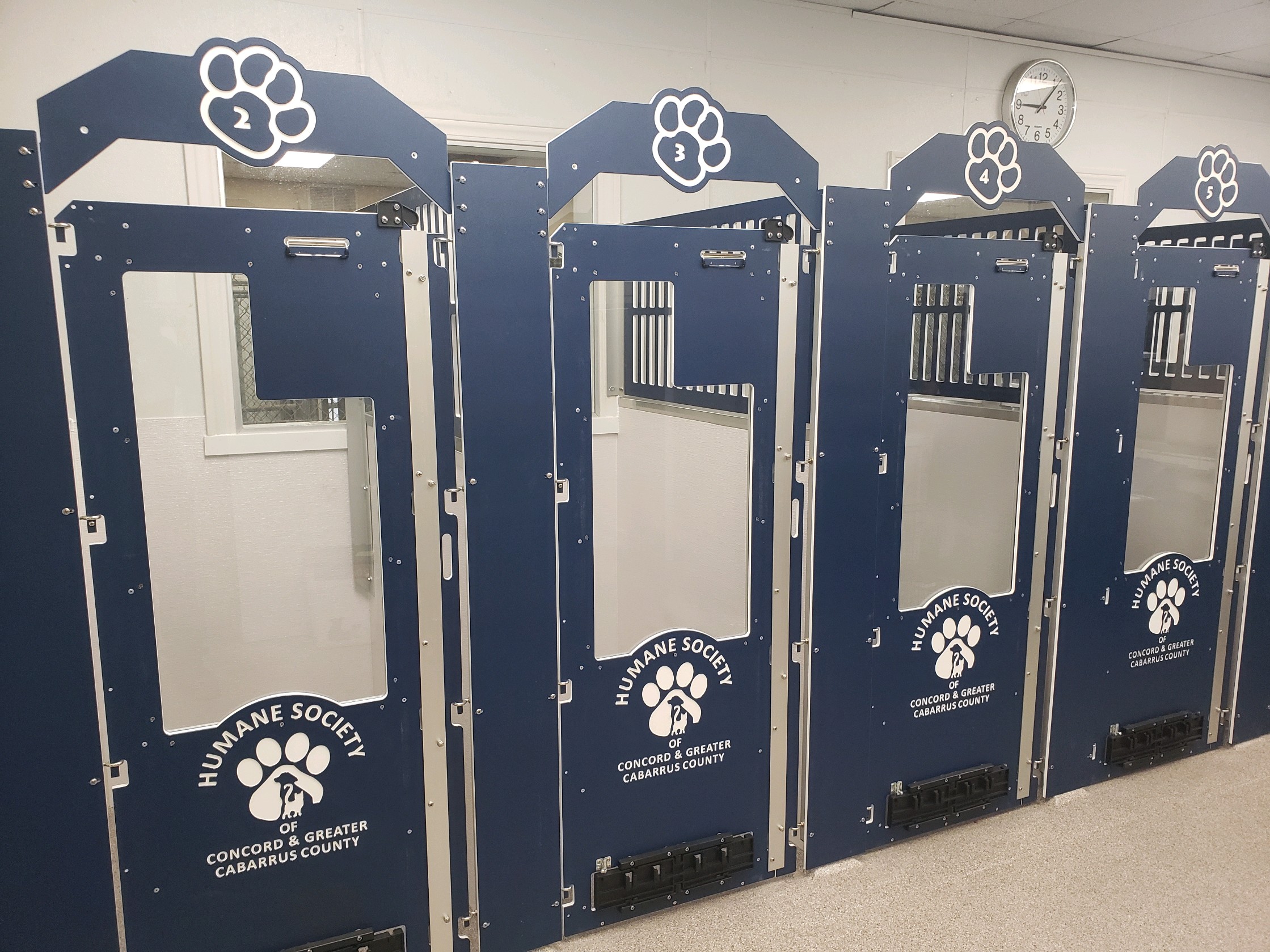 Kennel Ideas: Navy Blue Dog Kennels | Humane Society of Concord Greater ...