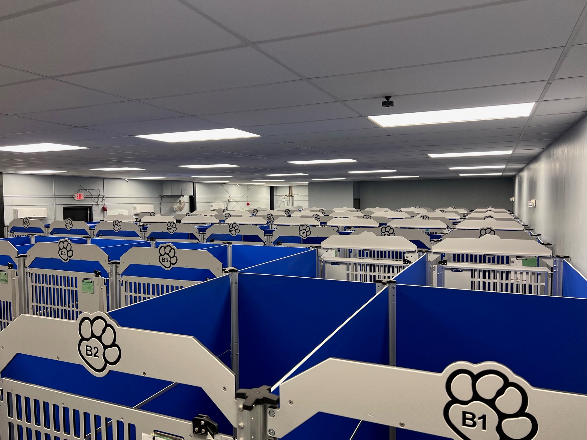 PAWZ Dog Services, Tennessee - Gator Kennels